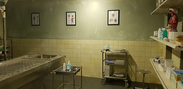 Escape room Utrecht (Baarn) | CORPSE INC. | EscapeRoomJunkie